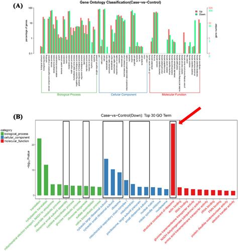 Analysis Of Rna Seq Data A The Transcriptome Sequencing Results Were Download Scientific