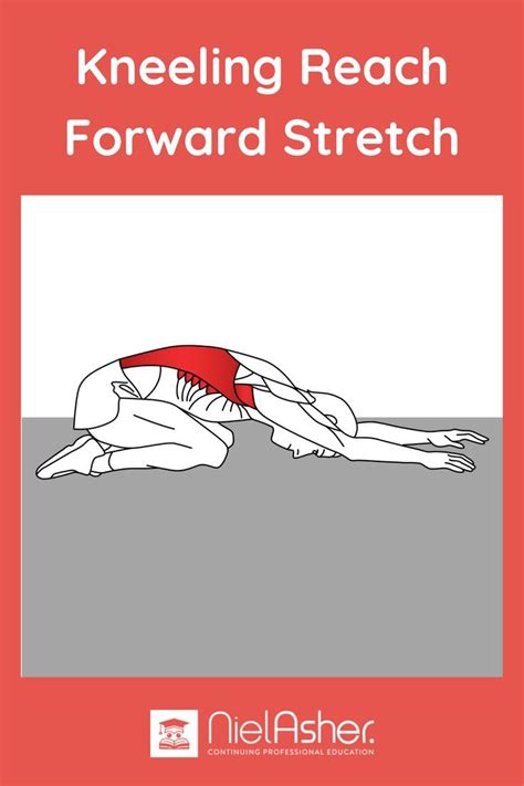 Muscle Stretches Back Stretches Yoga Stretches Muscle Knots