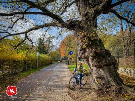 Młynówka Królewska w Krakowie najdłuższy park w Polsce i wycieczka
