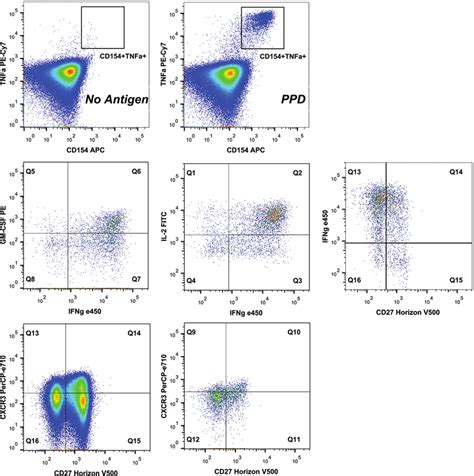 Flow Cytometric Gating Strategy Representative Flow Cytometric Plots
