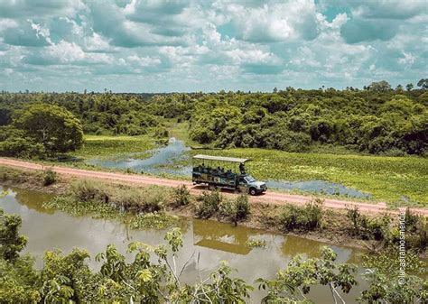 Pacote Para Bonito Roteiro Bonito E Pantanal