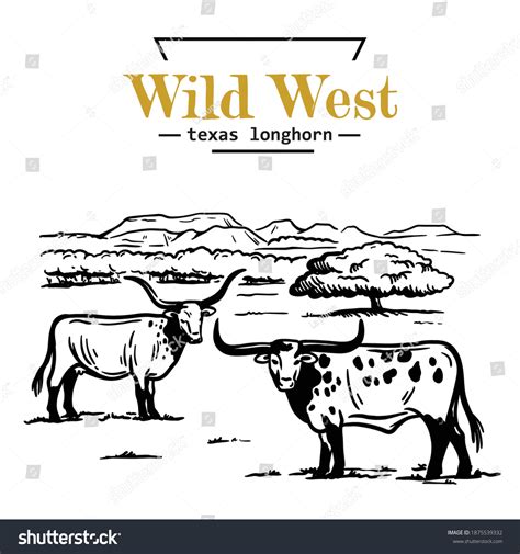 Breeding Cattle Silhouette Grazing Cow Vector Stock Vector Royalty
