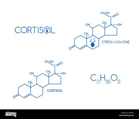 Cortisol Illustration Set Stress Hormone Formula Stock Vector Image