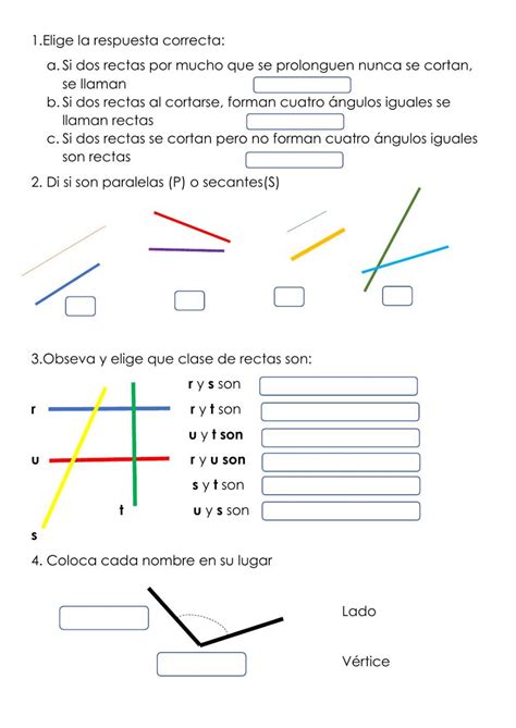Ejercicio interactivo de Rectas y ángulos para 3º Puedes hacer los