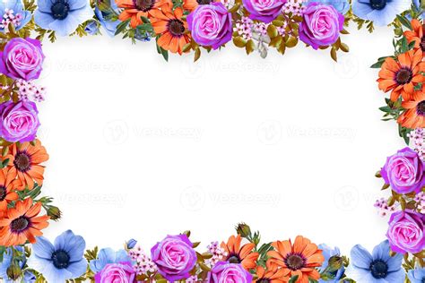 Flower Border Frame Background Flower Background Floral Frame