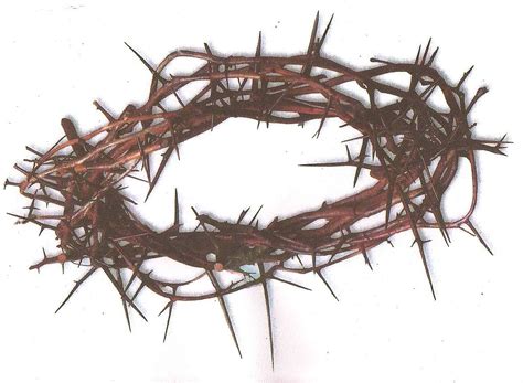 The Thorns Of The Crucifixion Mindy Peltier