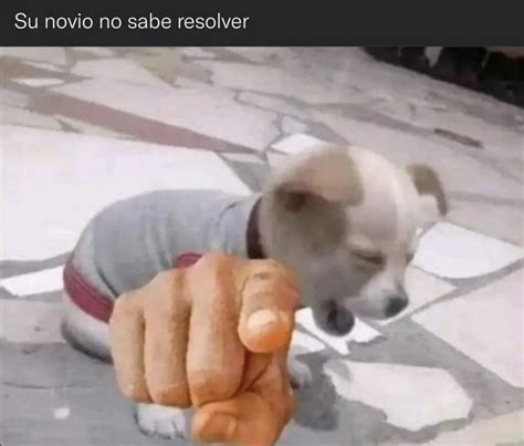 Resolver Resolver Know Your Meme
