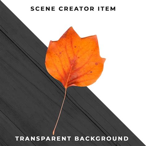 Free Fall Borders For Word Documents Templates Trackingnelo