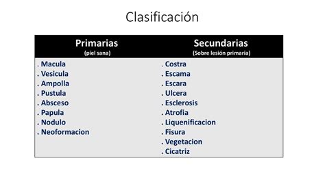 Lesiones Elementales De La Piel Camila Iturres UDocz