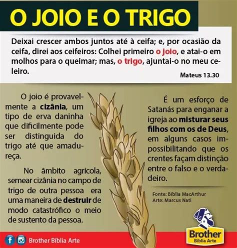 Pin de Ana D ávila em Apocalipse Fatos bíblicos Estudos bíblicos