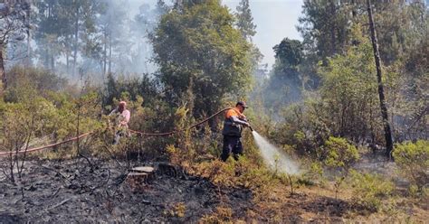 Registran Incendios Forestales Activos En Veracruz Por Altas