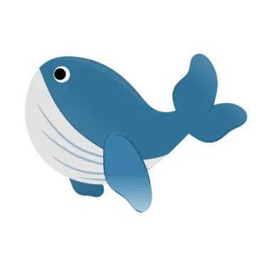 Ballena Azul Linda Ilustración De Ballena Azul Para Elemento Mar Azul