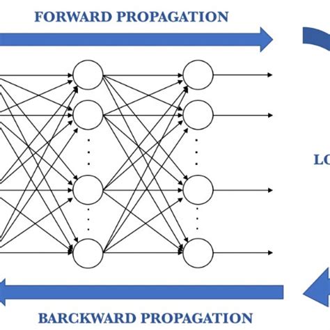back propagation procedure [8] download scientific diagram