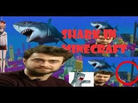 Sharks In Minecraft Youtube