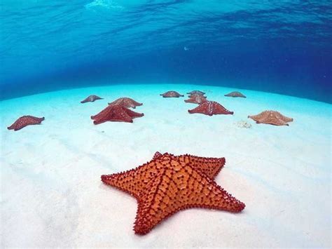 COZUMEL EL CIELO Outstanding Tours Travel Cancún
