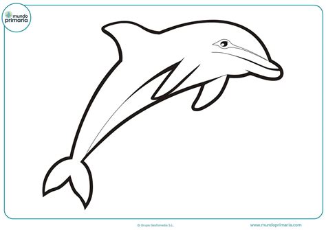 Dibujos De Delfines Para Colorear Mundo Primaria