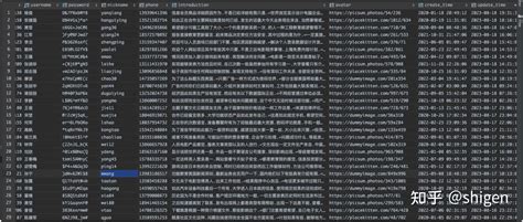 python orm框架 sqlalchemy 知乎