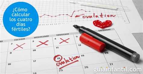Los cuatro días fértiles de la mujer Cómo calcularlos con exactitud