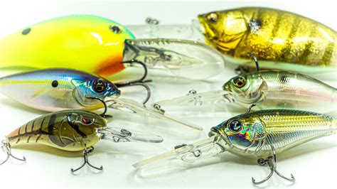 Buyer S Guide Deep Diving Crankbaits For Winter And Summer Bass