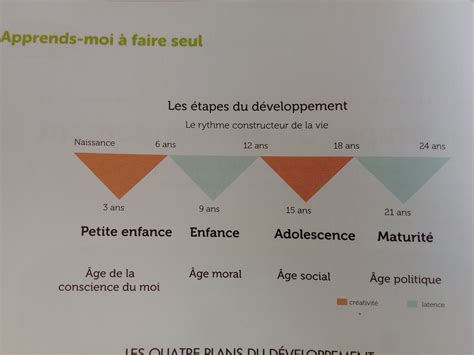 Stades De Developpement Bebe