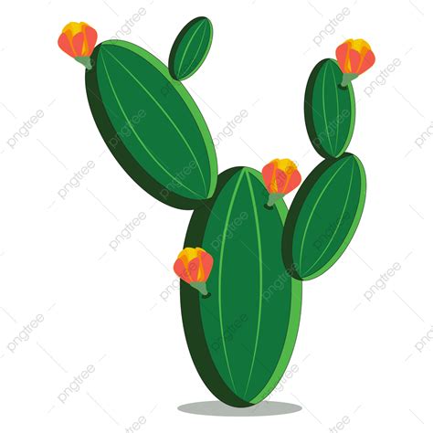 Gambar Ilustrasi Tanaman Kaktus Kartun Kartun Kaktus Ilustrasi Png