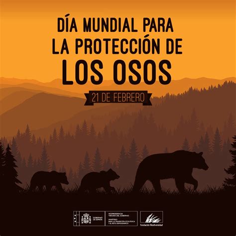 Fundación Biodiversidad on Twitter 6 de las 8 especies de osos que