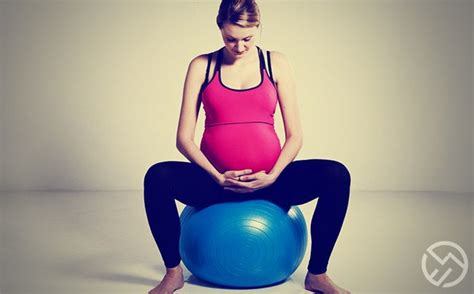 Ejercicios De Kegel Para El Embarazo Manual Sencillo Mindfit Club