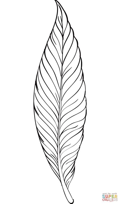 Desenho De Pena De Pena Para Colorir Desenhos Para Colorir E Imprimir