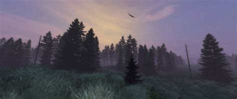Dayz Namalsk Ultrawide Forest Wallpaper Resolution X Id