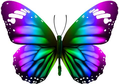 Butterfly Transparent Butterflies Clipart Zebra Vector Graphics Free