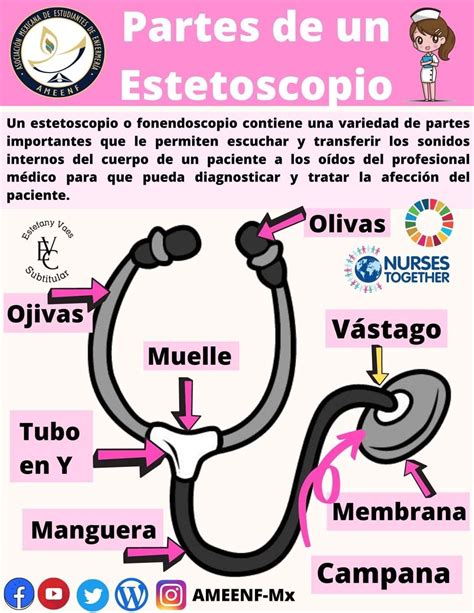Partes Del Estetoscopio Fonendoscopio Tecnico Auxiliar De