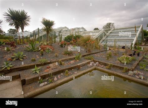 Kew Gardens Cacti And Succulents New Glasshouse Stock Photo Alamy