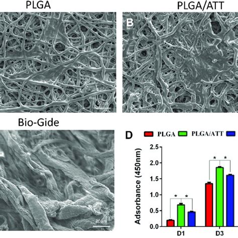 A SEM Micrographs Of PLGA PLGA ATT Scaffolds And Bio Gide Membrane