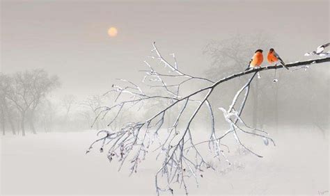 Nuit De Neige De Guy De Maupassant DE TOUT EN VRAC