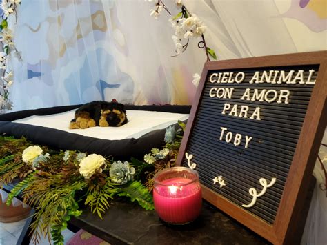 La Jornada Maya Yucatán Rodrigo Medina Cielo Animal Una forma