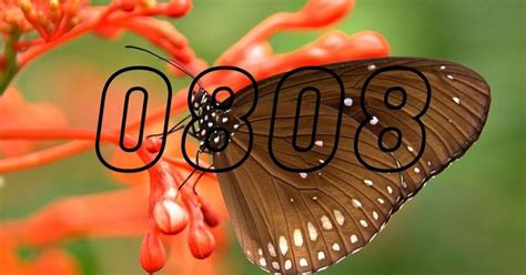 Numerologia Significado Do N Mero Mundo Da Numerologia