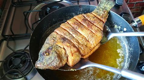 COMO FAZER PEIXE INTEIRO FRITO RECEITA DE TILÁPIA EMPANADA