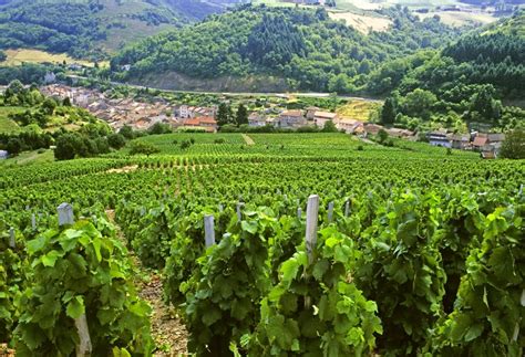 Château Fort Beaux Villages Farmland Vineyard Outdoor Stone Houses