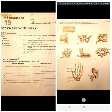 Solved Ffddd N Al Name Date Section Chegg