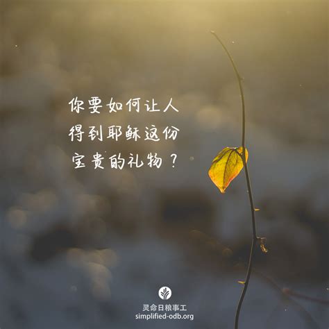 2019 12 06今日图片分享 灵命日粮简体中文网站