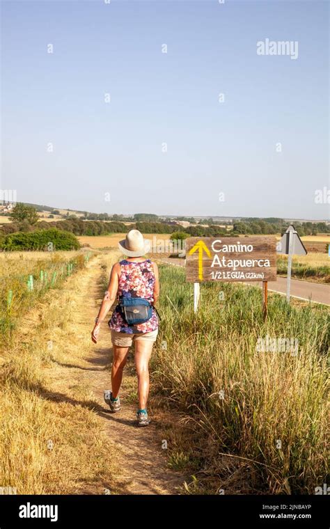 Woman Walking The Camino De Santiago Pilgrimage Route The Way Of St