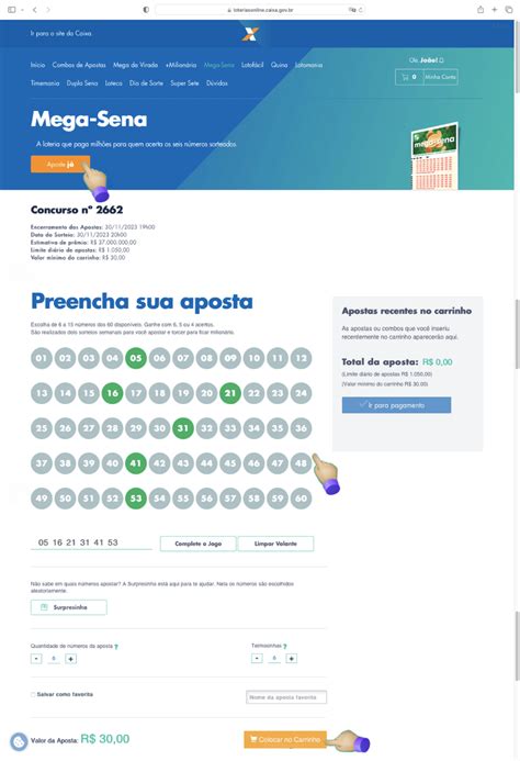 Aprenda Como Jogar Na Mega Sena Online Pelo Computador E Celular