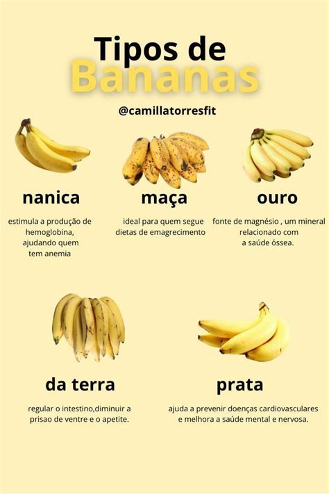 InfogrÁfico melhores exercícios por grupo muscular Artofit