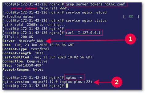how to hide nginx version on linux and unix