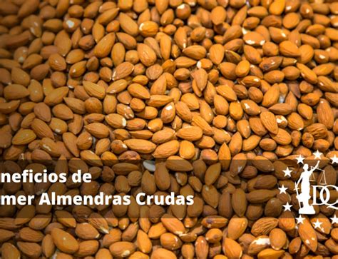 Recomendaciones Nutricionales Para Adolescentes Deportistas