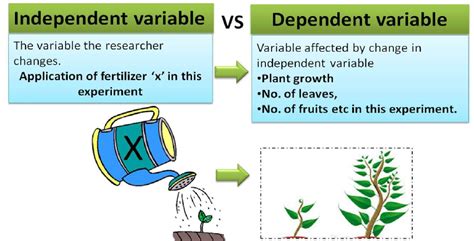 what are dependent and independent variables statistics data science machine learning and