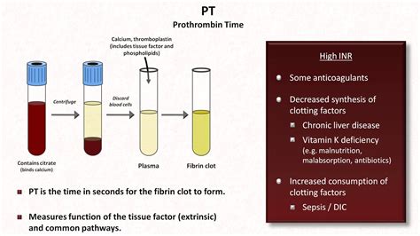 Hemostasis Lesson 4 Tests INR PTT Platelets Fibrinogen D Dimer