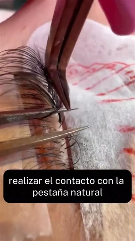 Curso6 ACADEMIAS PROCEDIMIENTOS INSUMOS In 2024
