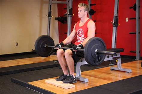 Barbell Seated Calf Raise Exercise Videos Guides Bodybuilding