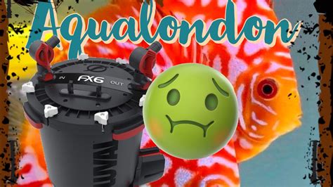 Fluval Fx Limpieza De Filtros Youtube